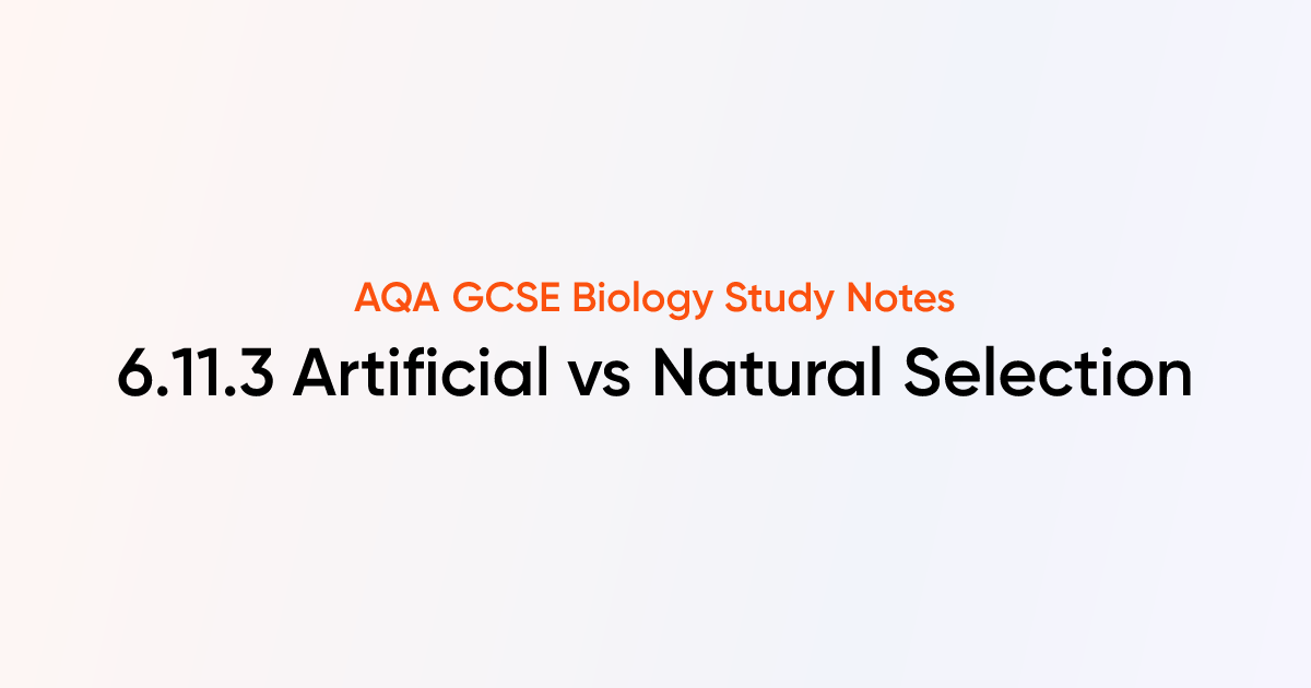 Artificial vs Natural Selection (6.11.3) | AQA GCSE Biology Notes ...