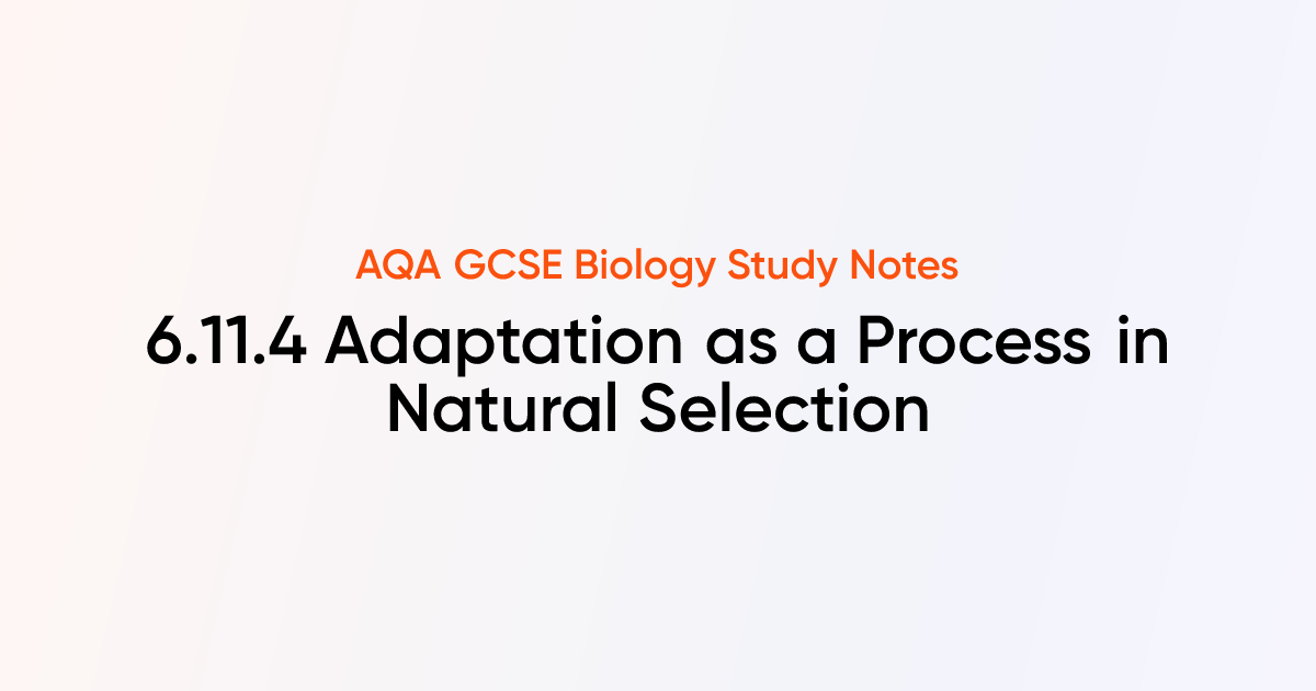 Adaptation as a Process in Natural Selection (6.11.4) | AQA GCSE ...