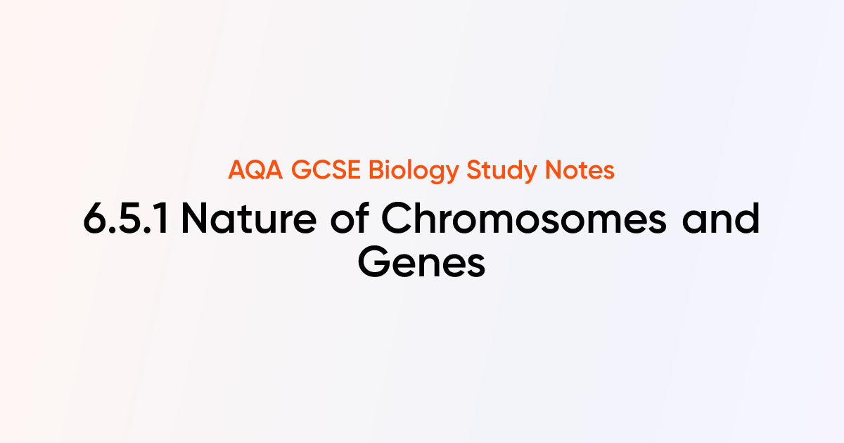 Nature of Chromosomes and Genes (6.5.1) | AQA GCSE Biology Notes ...