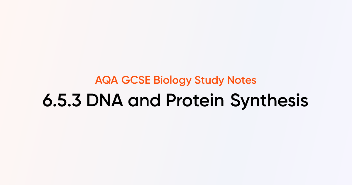 DNA and Protein Synthesis (6.5.3) | AQA GCSE Biology Notes | TutorChase