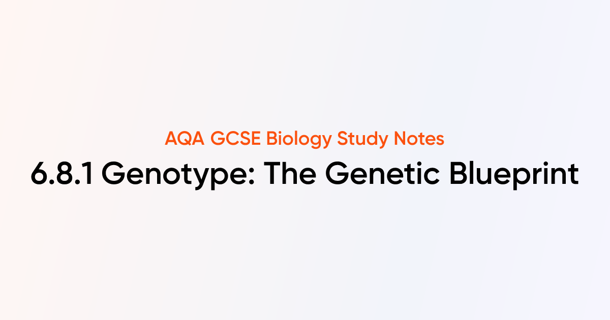 Genotype: The Genetic Blueprint (6.8.1) | AQA GCSE Biology Notes ...