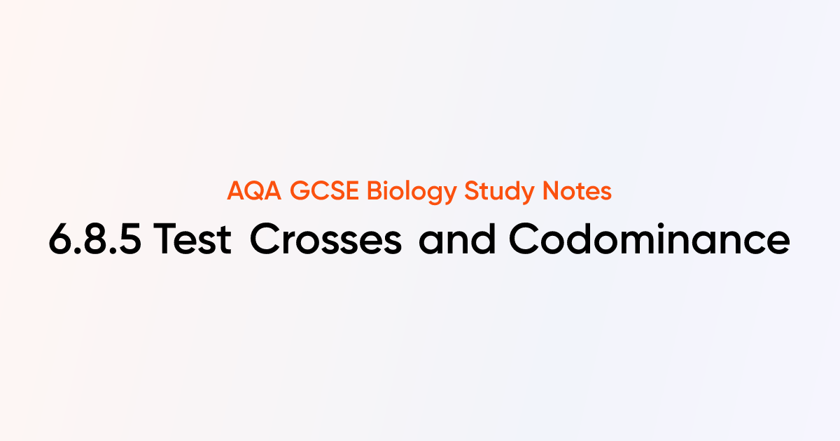 Test Crosses and Codominance (6.8.5) | AQA GCSE Biology Notes | TutorChase