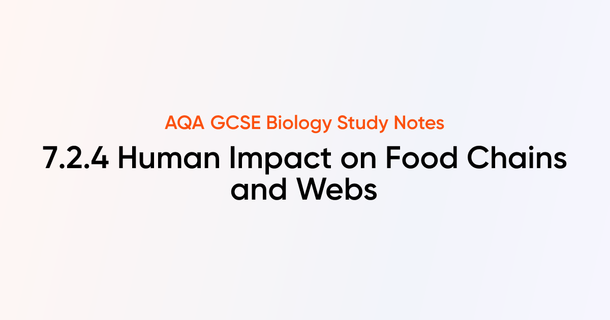Human Impact on Food Chains and Webs (7.2.4) | AQA GCSE Biology Notes ...