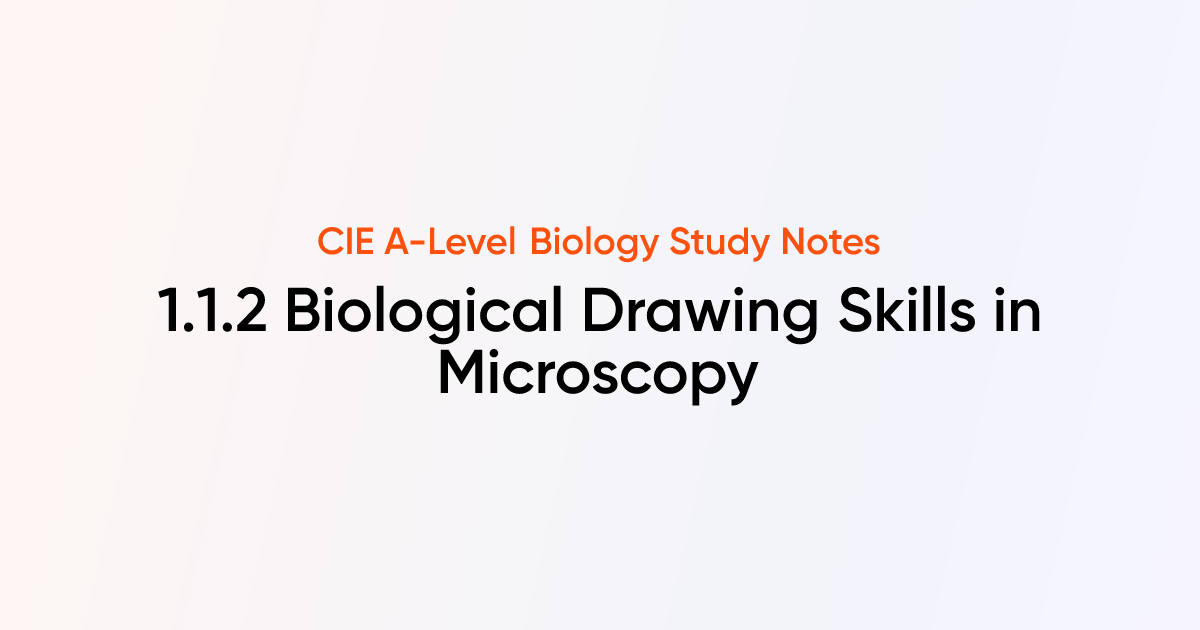Biological Drawing Skills in Microscopy (1.1.2) | CIE A-Level Biology ...