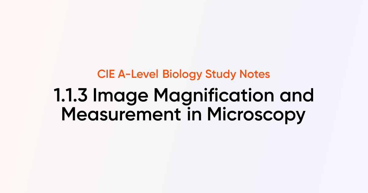 Image Magnification and Measurement in Microscopy (1.1.3) | CIE A-Level ...