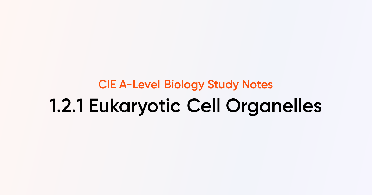 Eukaryotic Cell Organelles (1.2.1) | CIE A-Level Biology Notes | TutorChase