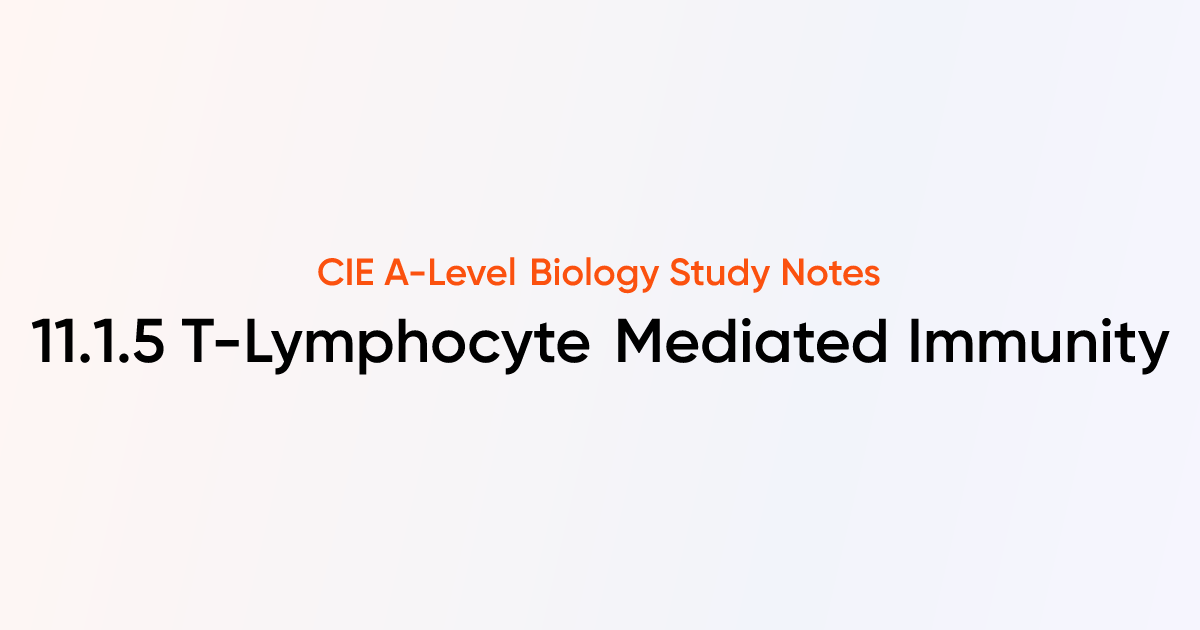 T-Lymphocyte Mediated Immunity (11.1.5) | CIE A-Level Biology Notes ...