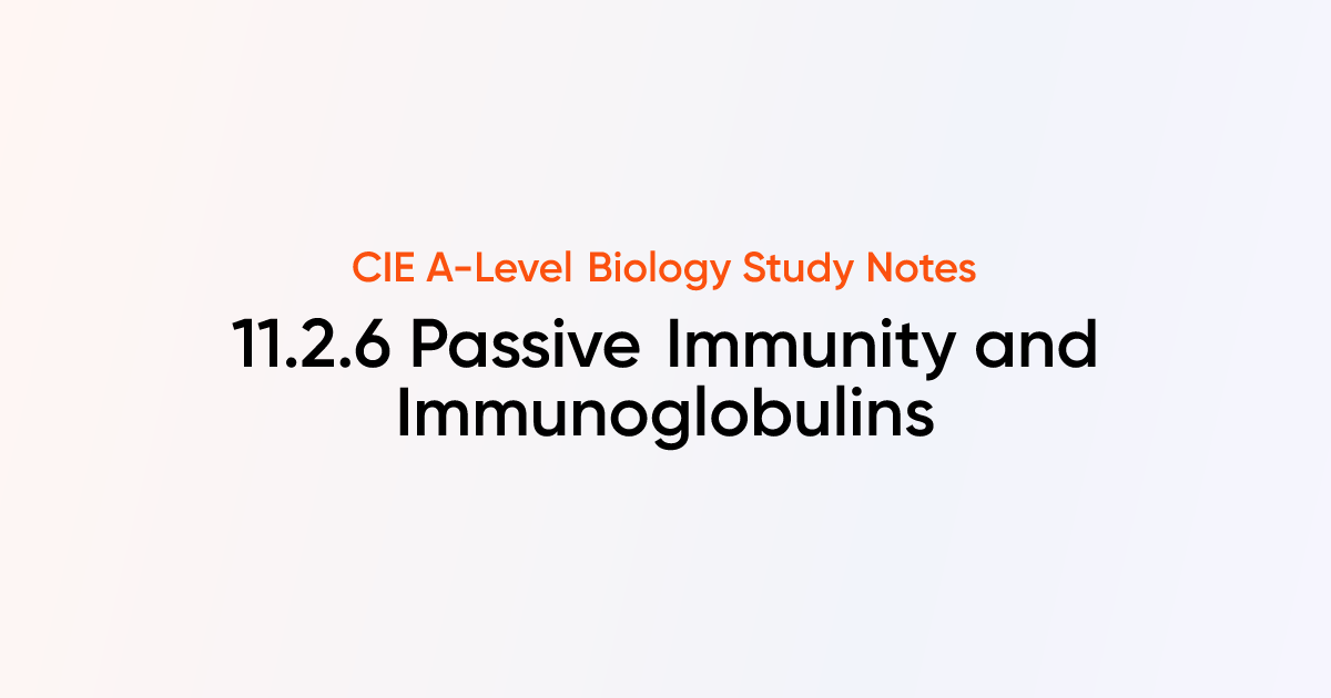 Passive Immunity and Immunoglobulins (11.2.6) | CIE A-Level Biology ...
