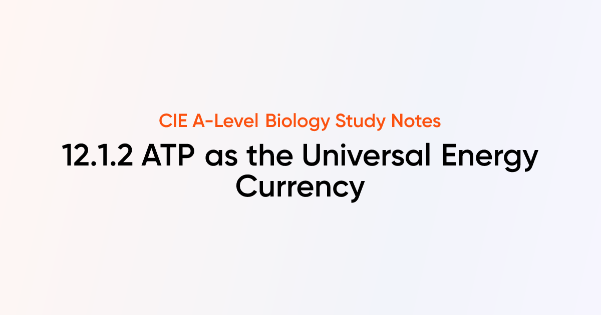 ATP as the Universal Energy Currency (12.1.2) | CIE A-Level Biology ...
