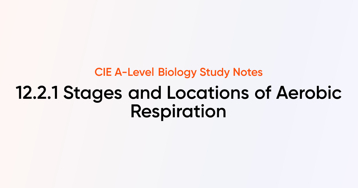 Stages and Locations of Aerobic Respiration (12.2.1) | CIE A-Level ...