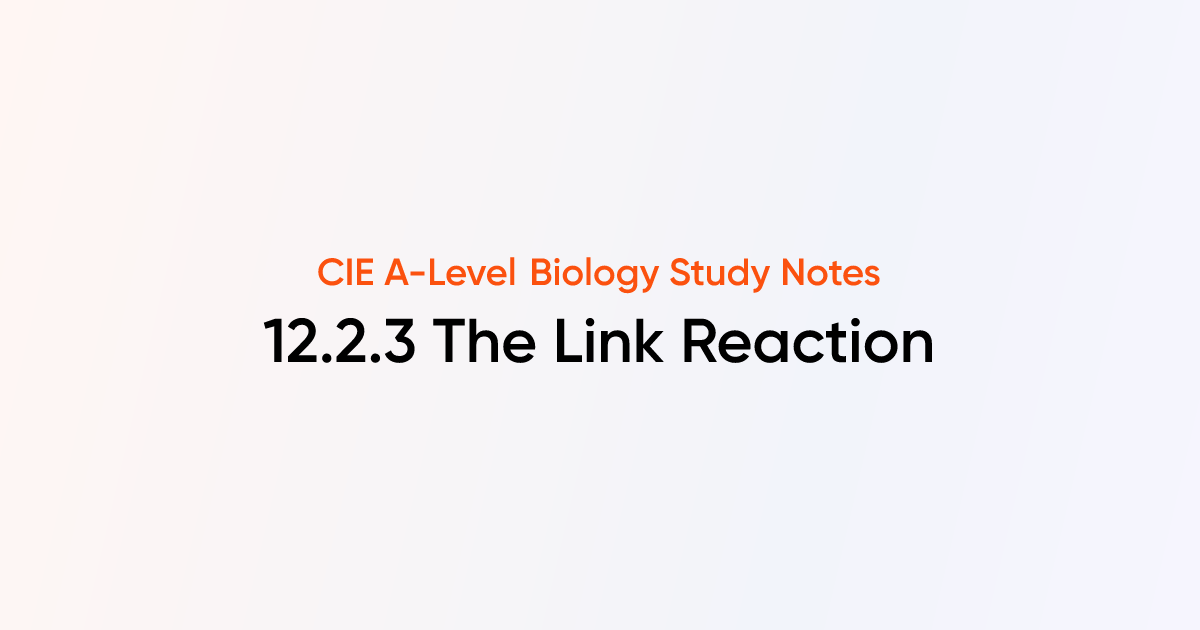 The Link Reaction (12.2.3) | CIE A-Level Biology Notes | TutorChase