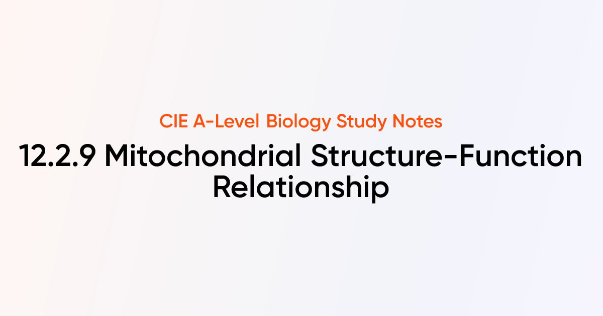 Mitochondrial Structure Function Relationship 1229 Cie A Level
