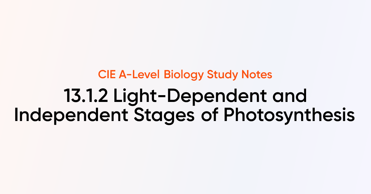 Light-Dependent and Independent Stages of Photosynthesis (13.1.2) | CIE ...