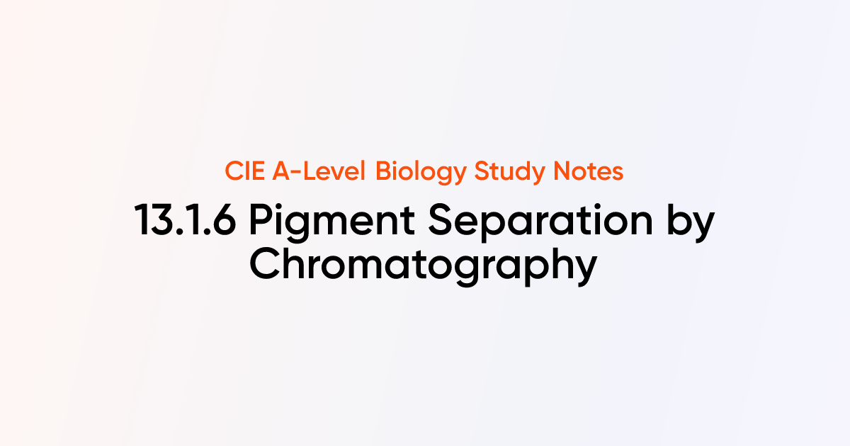 Pigment Separation by Chromatography (13.1.6) | CIE A-Level Biology ...