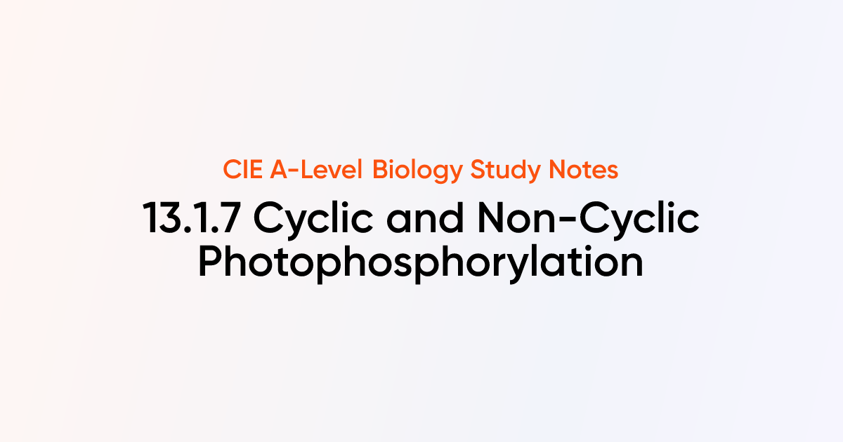 Cyclic and Non-Cyclic Photophosphorylation (13.1.7) | CIE A-Level ...