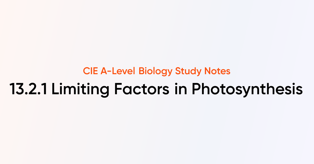 Limiting Factors in Photosynthesis (13.2.1) | CIE A-Level Biology Notes ...