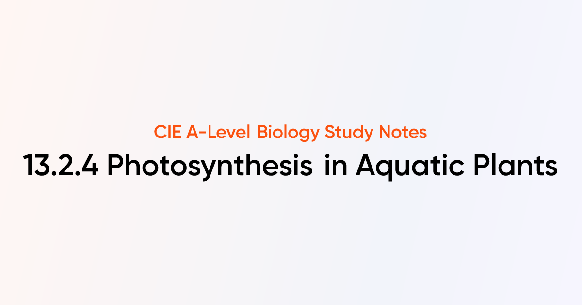 Photosynthesis in Aquatic Plants (13.2.4) | CIE A-Level Biology Notes ...