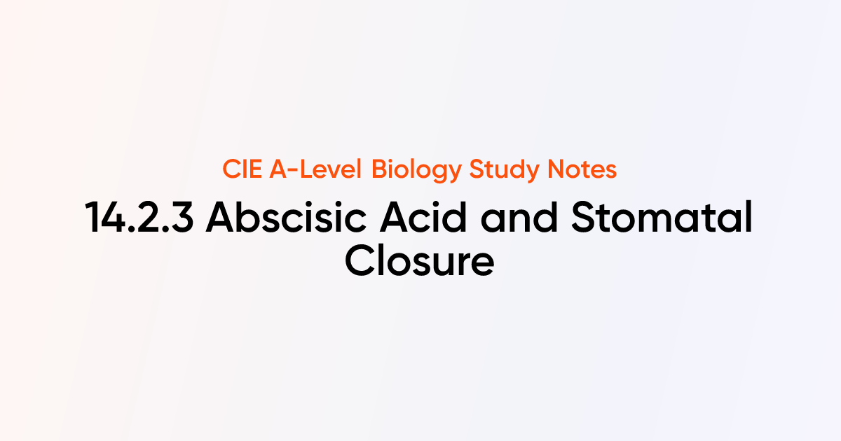 Abscisic Acid and Stomatal Closure (14.2.3) | CIE A-Level Biology Notes ...