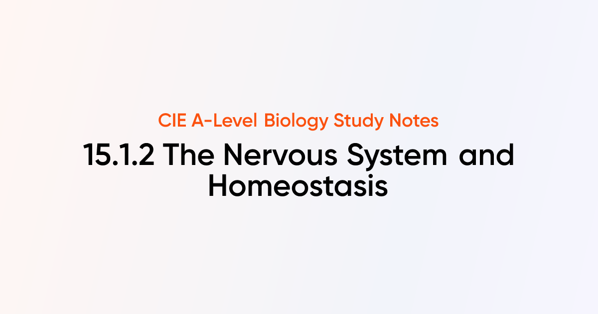 The Nervous System and Homeostasis (15.1.2) | CIE A-Level Biology Notes ...