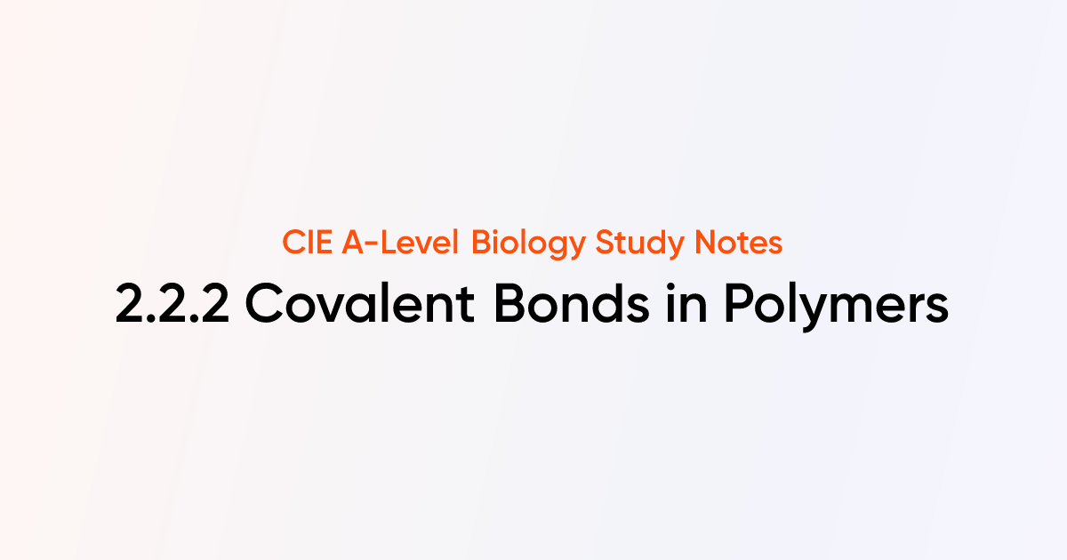 Covalent Bonds in Polymers (2.2.2) | CIE A-Level Biology Notes | TutorChase