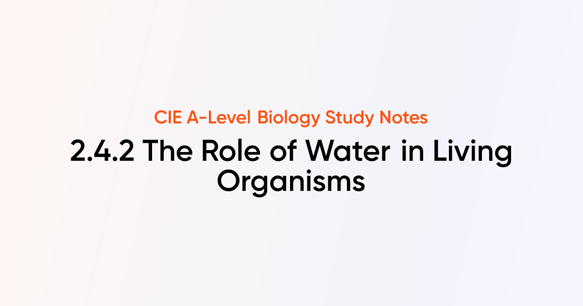 The Role of Water in Living Organisms (2.4.2) | CIE A-Level Biology ...