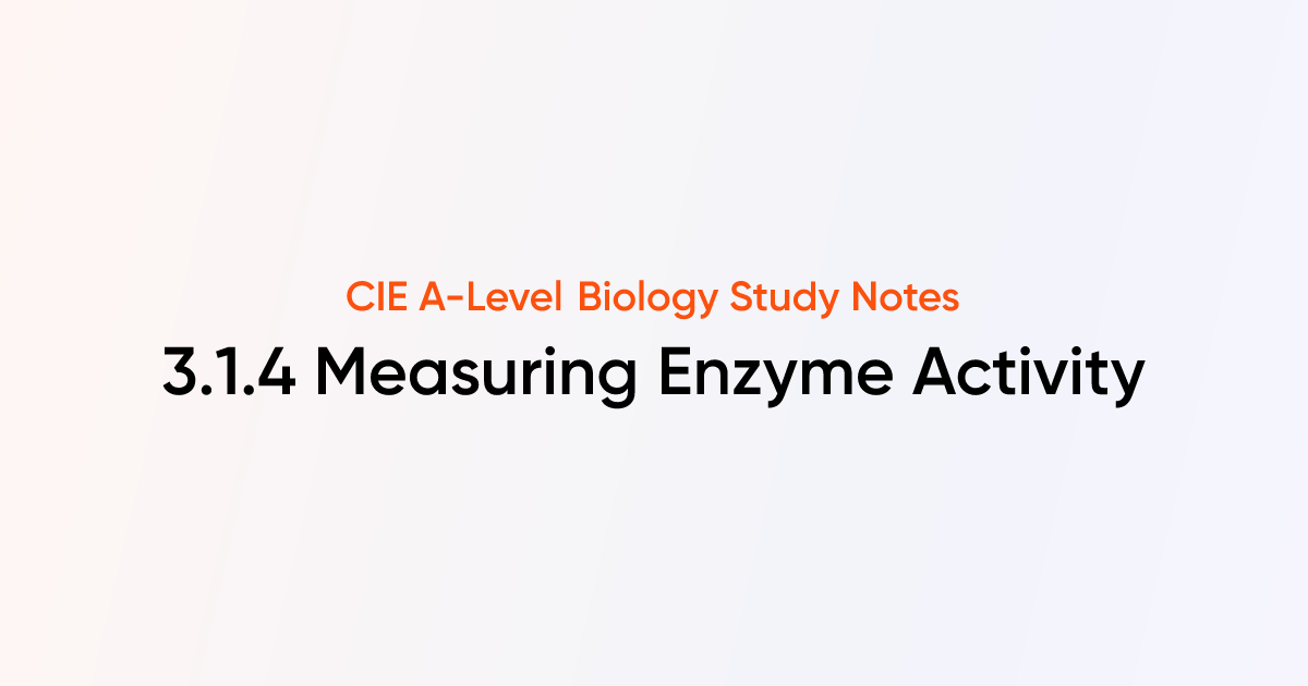 Measuring Enzyme Activity 314 Cie A Level Biology Notes Tutorchase