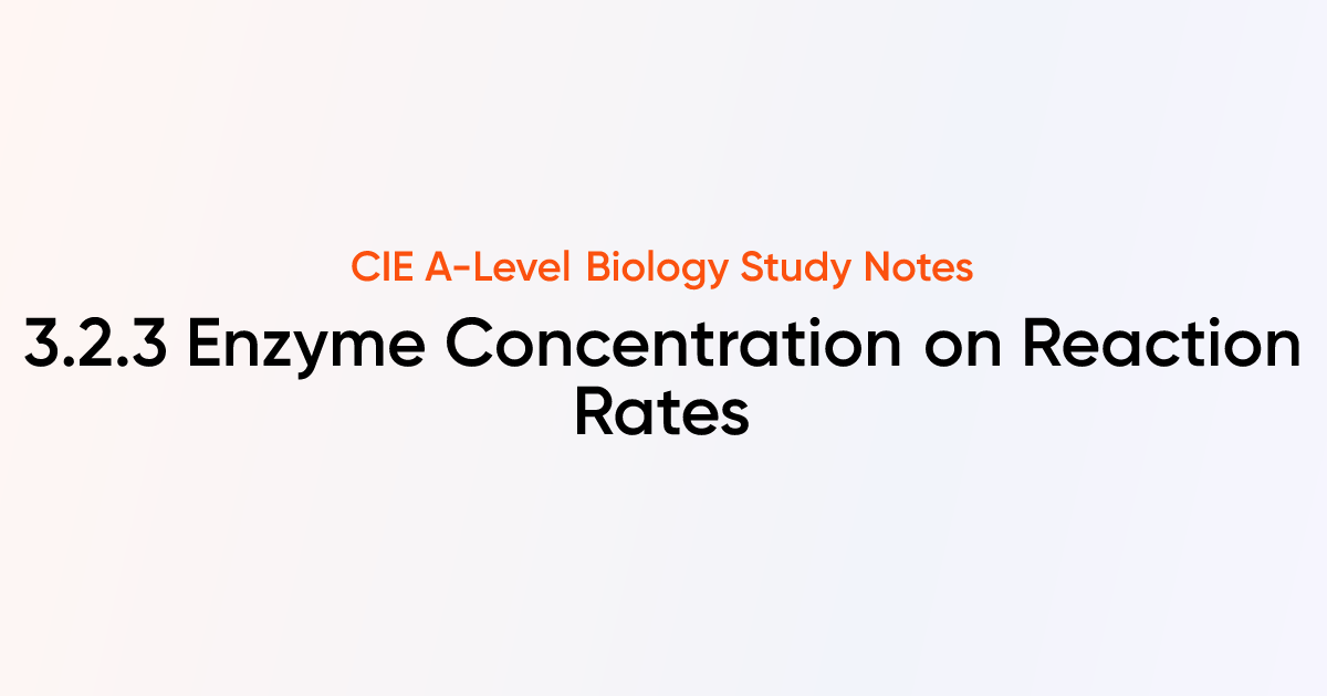 Enzyme Concentration On Reaction Rates 3 2 3 Cie A Level Biology Notes Tutorchase