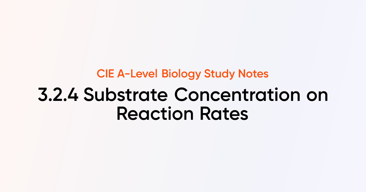 Substrate Concentration On Reaction Rates 3 2 4 Cie A Level Biology