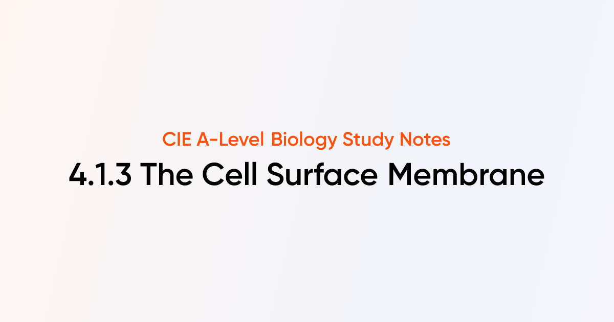 The Cell Surface Membrane (4.1.3) | CIE A-Level Biology Notes | TutorChase
