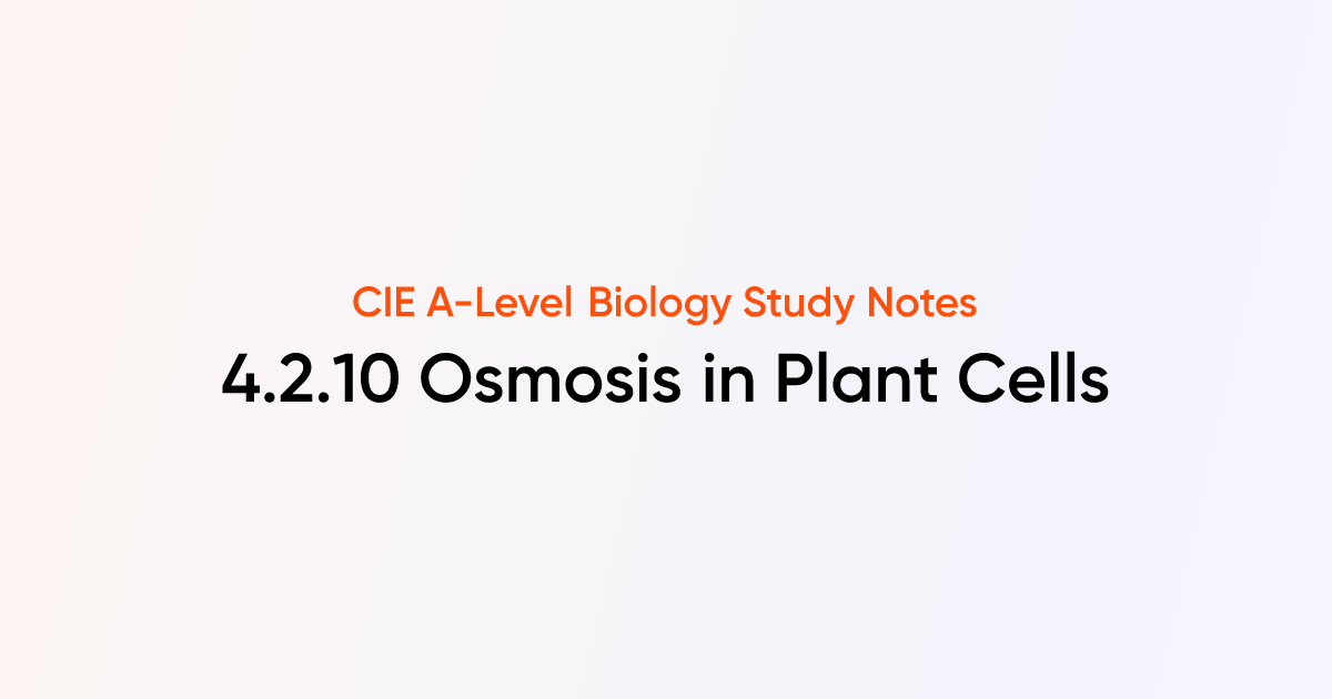 Osmosis in Plant Cells (4.2.10) | CIE A-Level Biology Notes | TutorChase