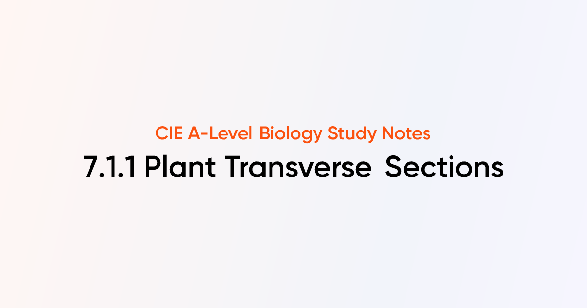 Plant Transverse Sections (7.1.1) | CIE A-Level Biology Notes | TutorChase