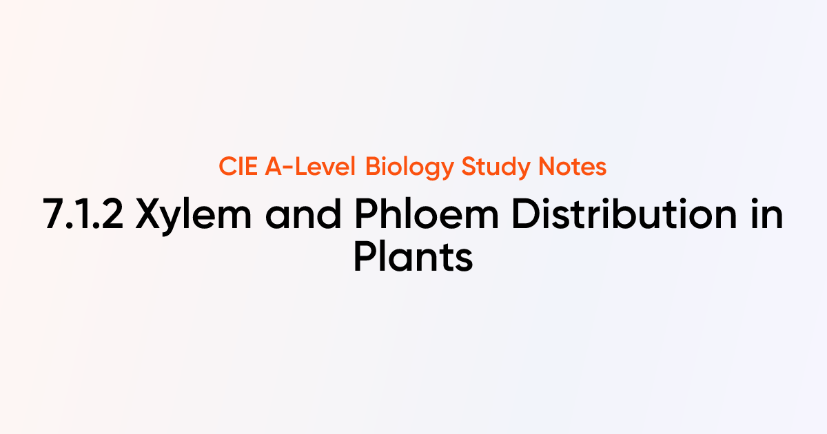 Xylem and Phloem Distribution in Plants (7.1.2) | CIE A-Level Biology ...