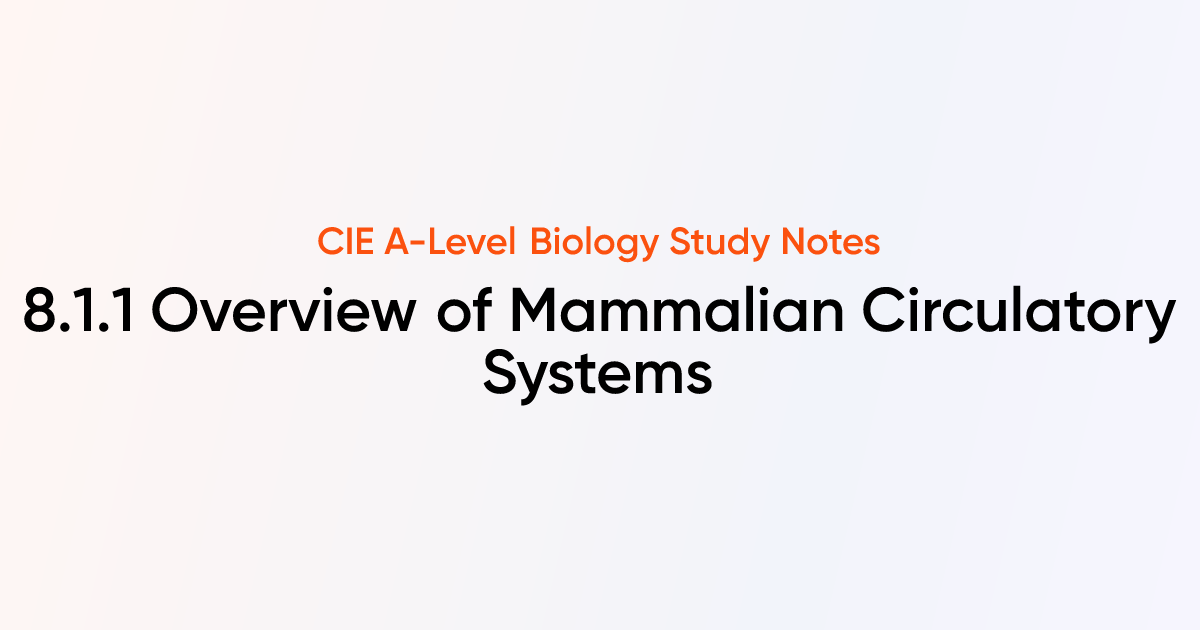 Overview of Mammalian Circulatory Systems (8.1.1) | CIE A-Level Biology ...