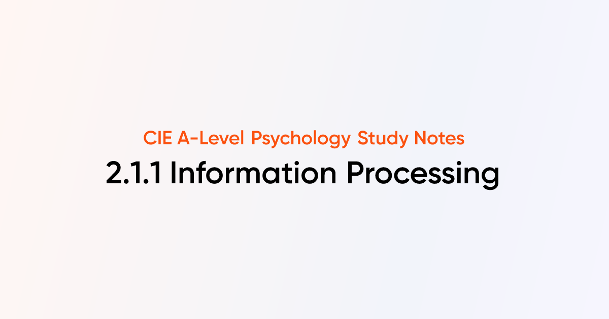 Information Processing (2.1.1) | CIE A-Level Psychology Notes | TutorChase