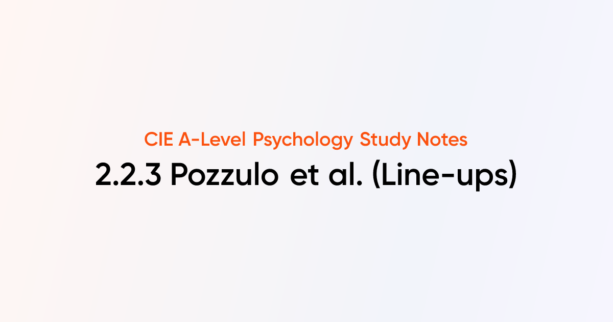 Pozzulo et al. (Line-ups) (2.2.3) | CIE A-Level Psychology Notes ...