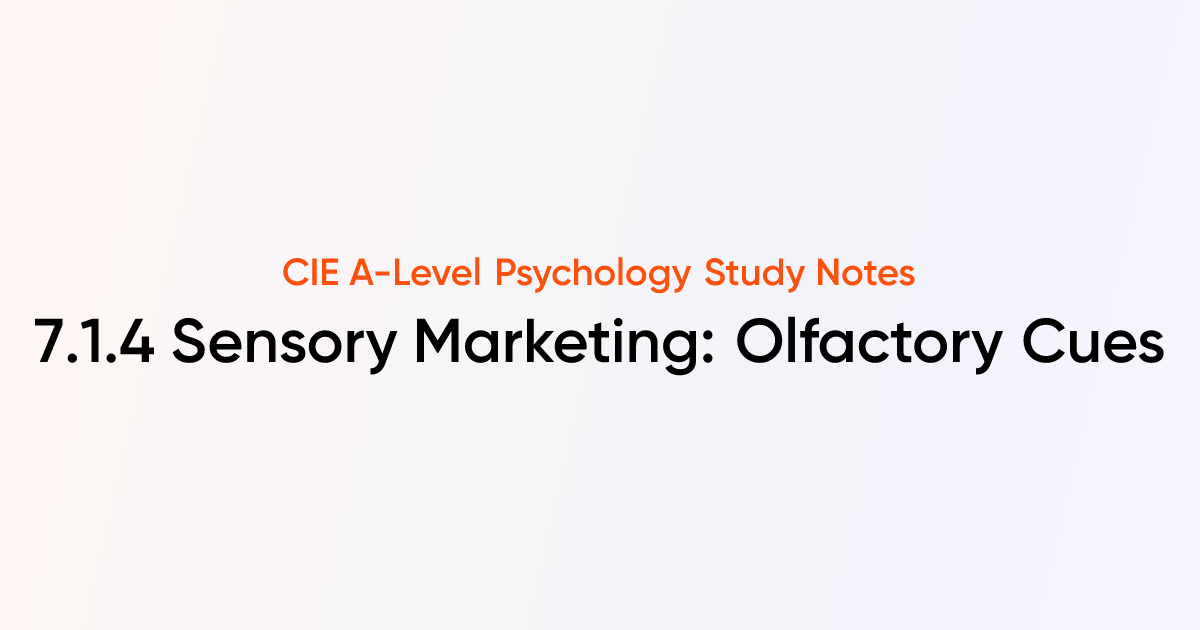 Sensory Marketing: Olfactory Cues (7.1.4) | CIE A-Level Psychology ...