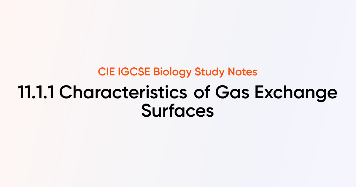 Characteristics of Gas Exchange Surfaces (11.1.1) | CIE IGCSE Biology ...