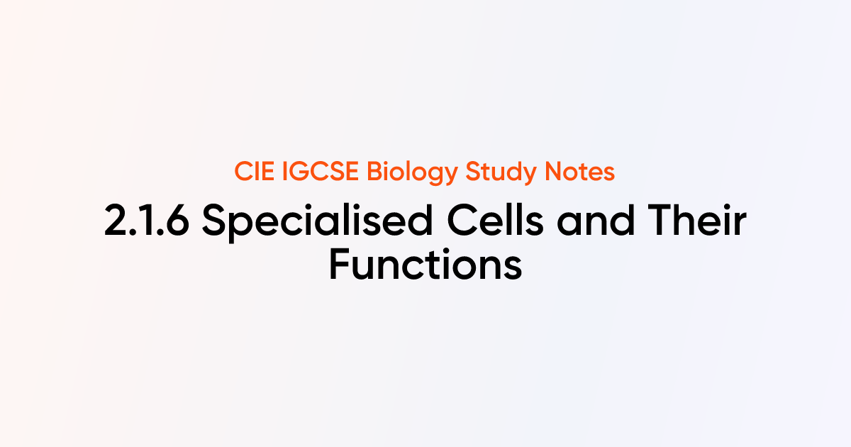 Specialised Cells and Their Functions (2.1.6) | CIE IGCSE Biology Notes ...