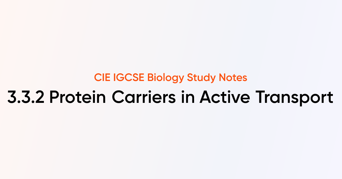 Protein Carriers in Active Transport (3.3.2) | CIE IGCSE Biology Notes ...