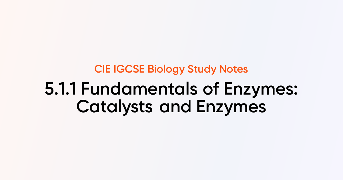 Fundamentals of Enzymes: Catalysts and Enzymes (5.1.1) | CIE IGCSE ...