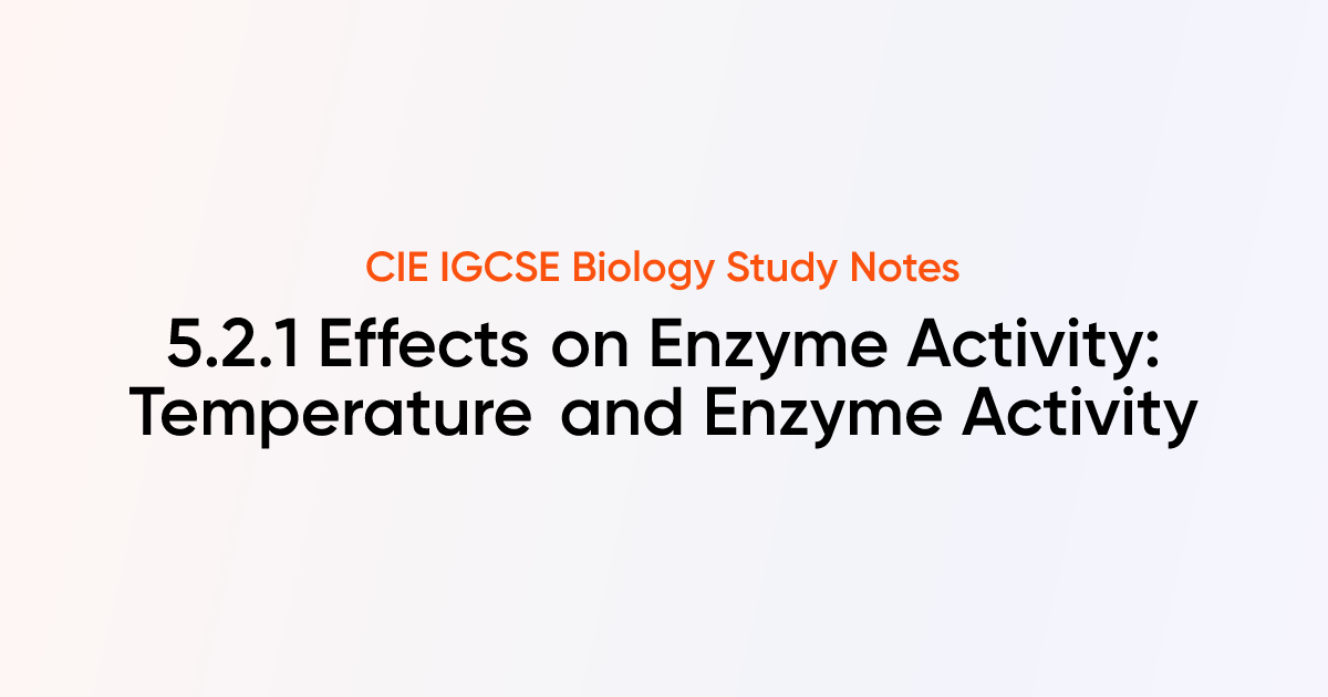 Effects On Enzyme Activity Temperature And Enzyme Activity 521