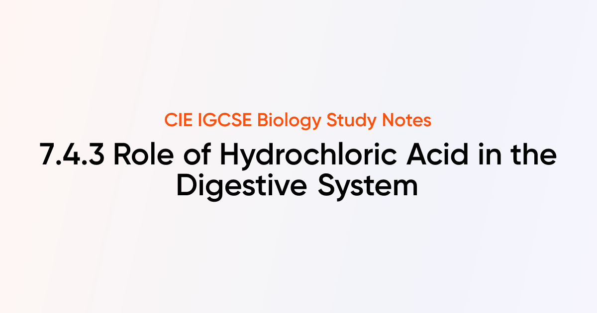 Role of Hydrochloric Acid in the Digestive System (7.4.3) | CIE IGCSE ...