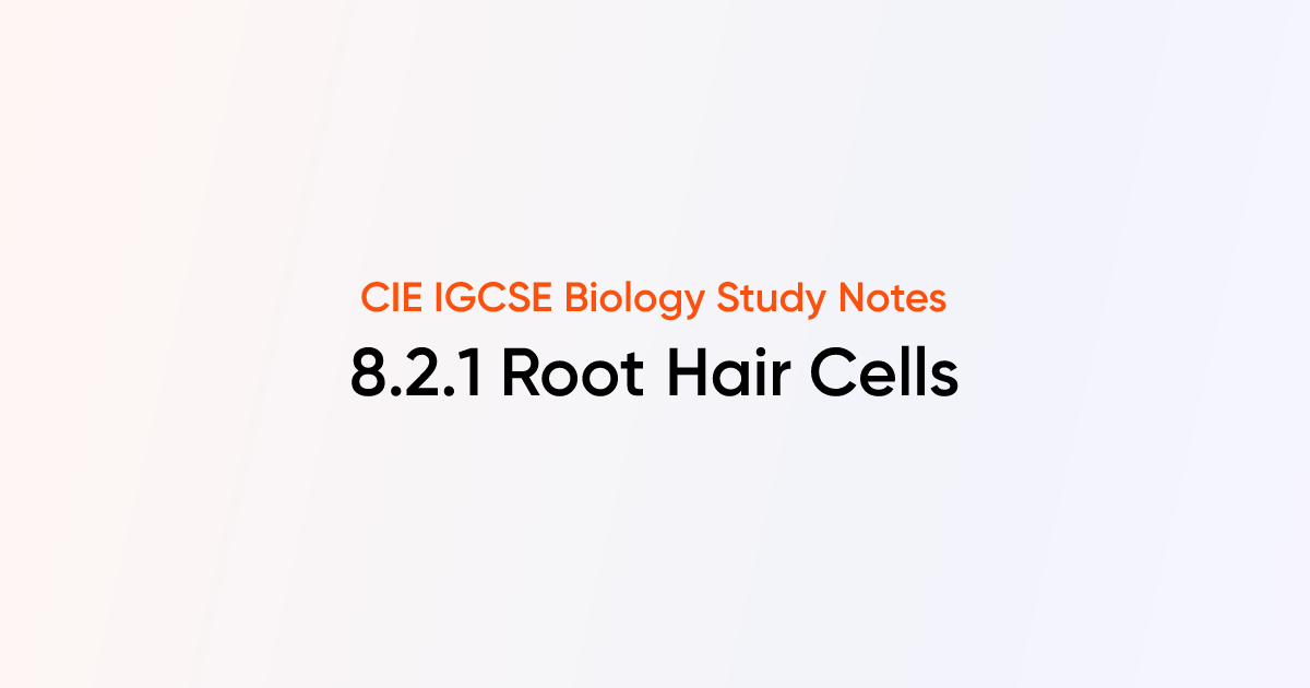 Root Hair Cells (8.2.1) | CIE IGCSE Biology Notes | TutorChase