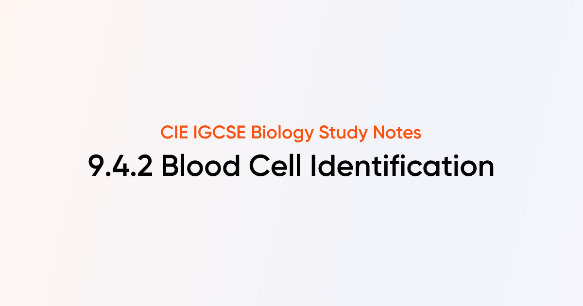Blood Cell Identification (9.4.2) | CIE IGCSE Biology Notes | TutorChase