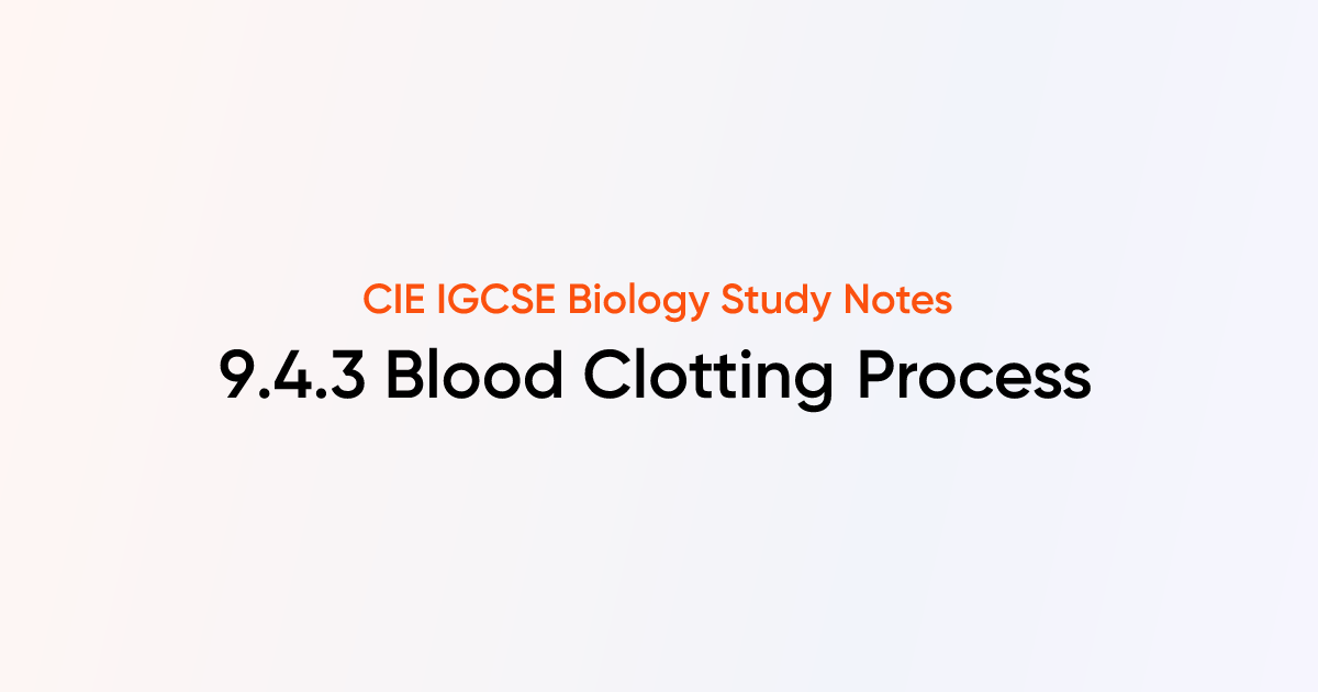 Blood Clotting Process (9.4.3) | CIE IGCSE Biology Notes | TutorChase