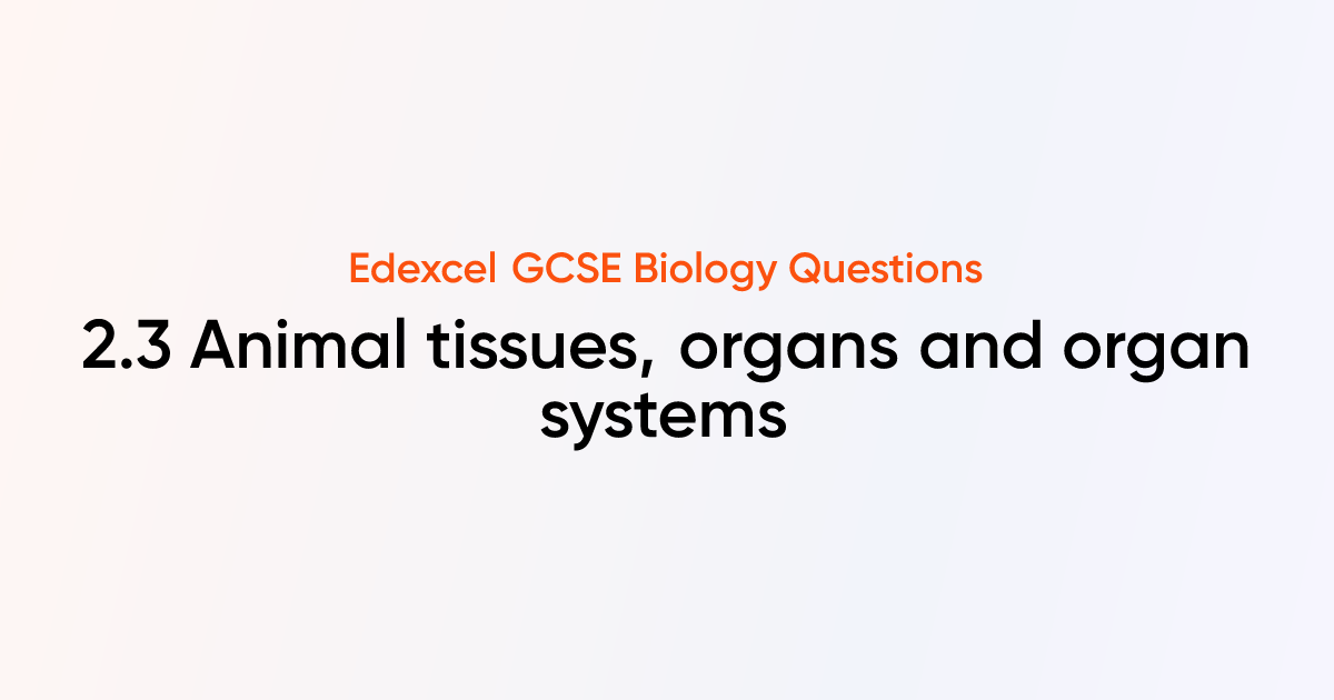 Edexcel GCSE Biology Practice Questions - 2.3 Animal tissues, organs ...