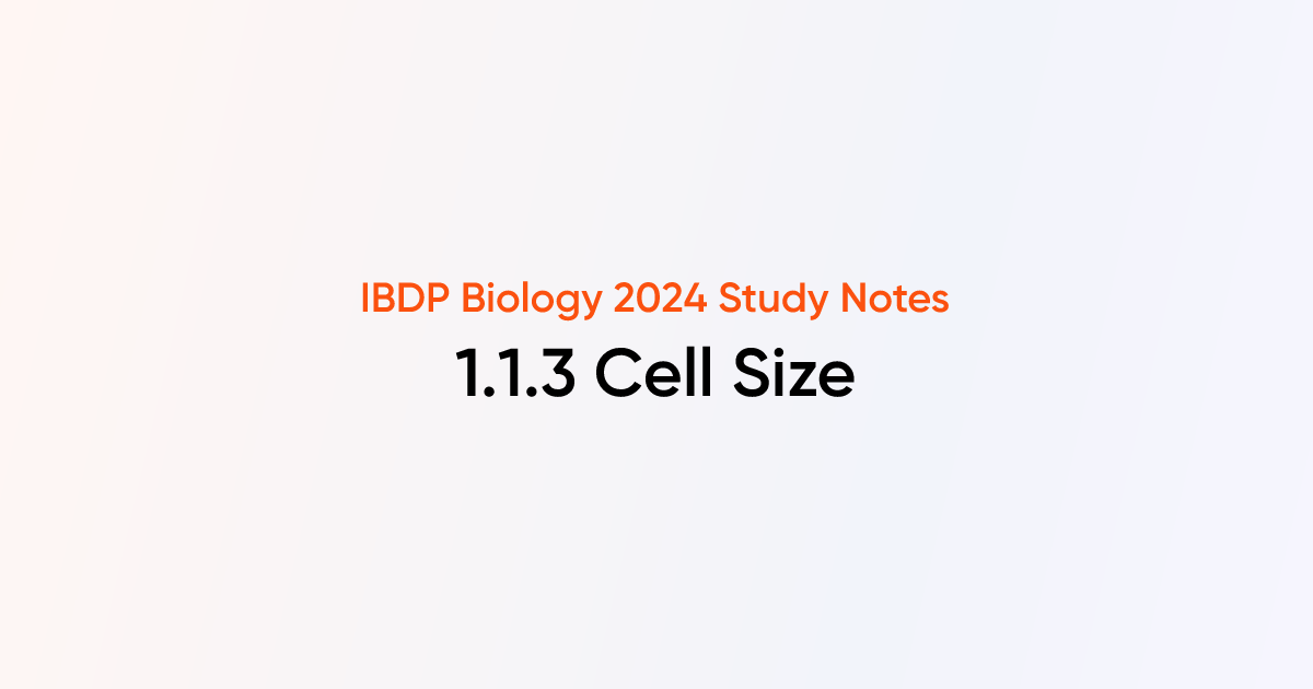 Cell Size (1.1.3) | IB DP Biology Notes | TutorChase