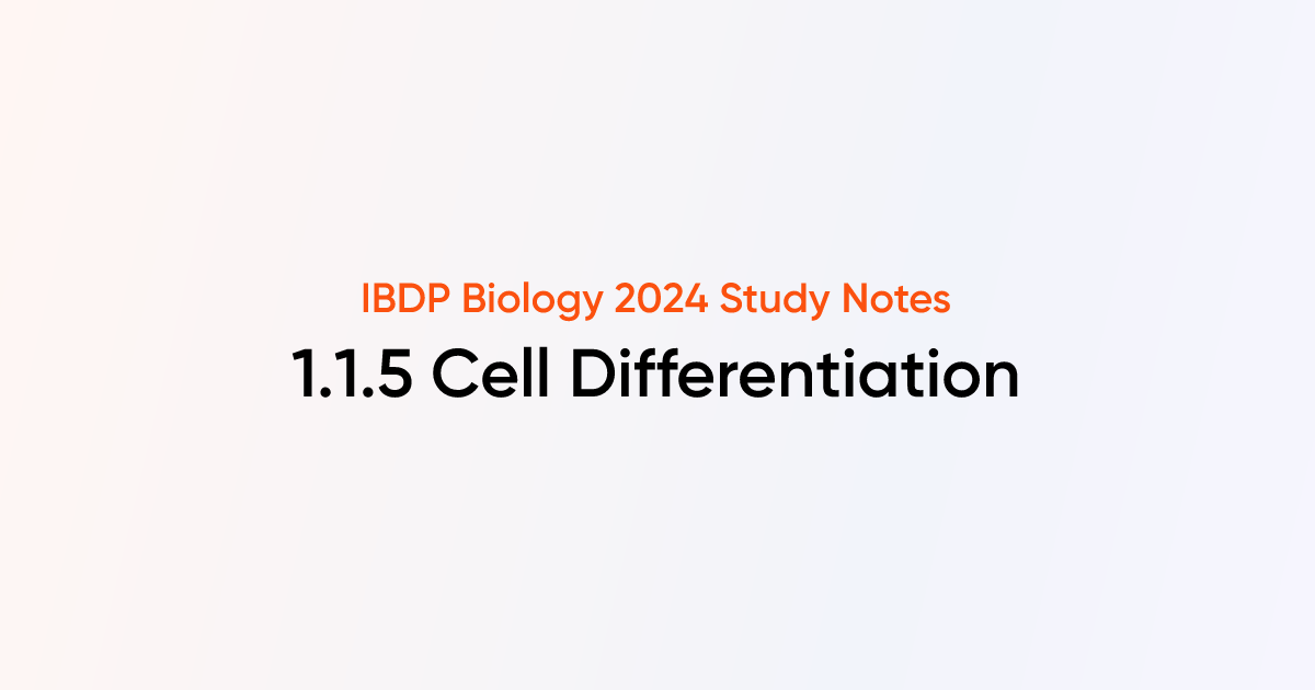 Cell Differentiation (1.1.5) | IB DP Biology Notes | TutorChase