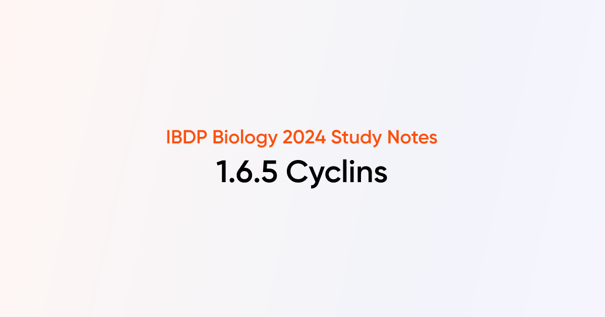 Cyclins (1.6.5) | IB DP Biology Notes | TutorChase