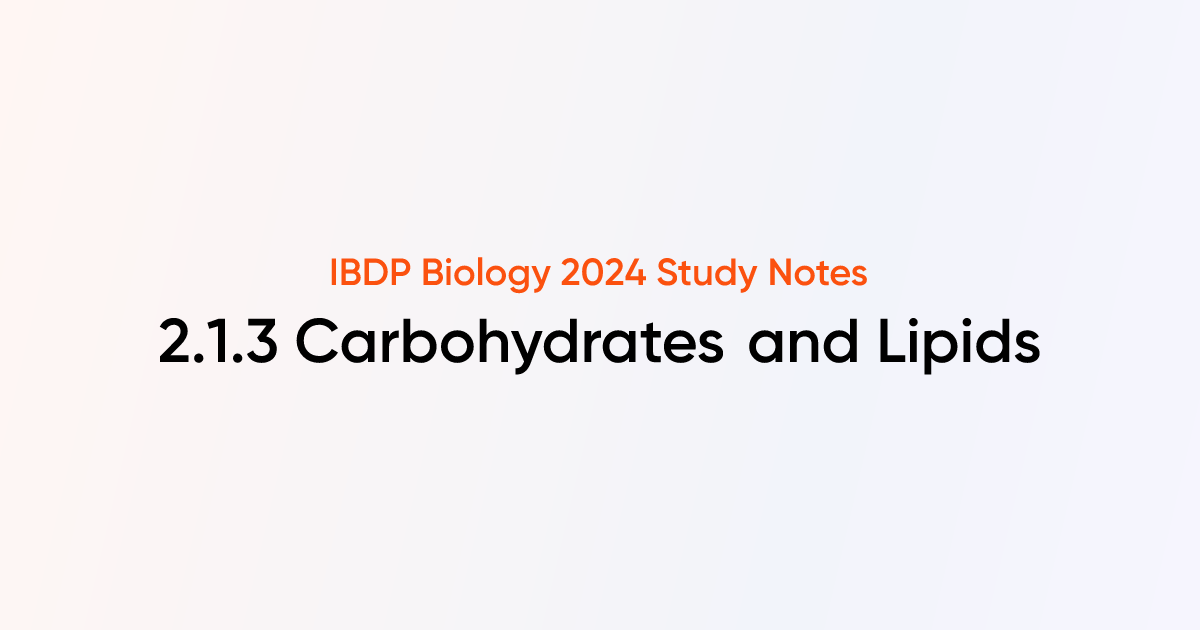 Carbohydrates and Lipids (2.1.3) | IB DP Biology Notes | TutorChase